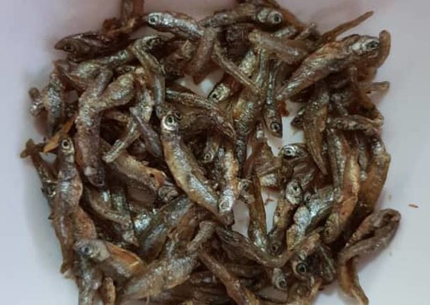 Национальная кухня Кении: популярные блюда - HoReCa-УКРАЇНА